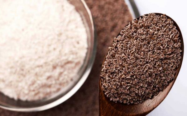 Understanding What Psyllium Husk Does to the Body - FibreFirst ...